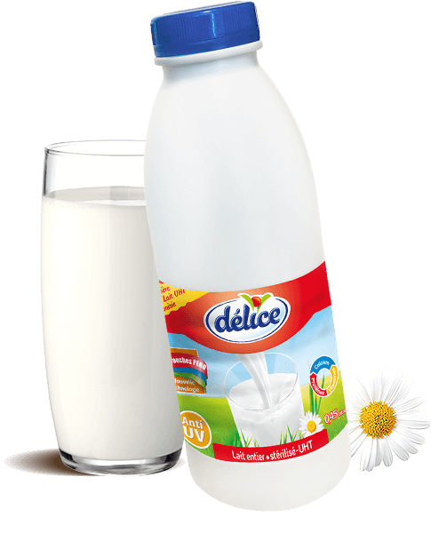 Bouteille Lait entier – Delice Holding