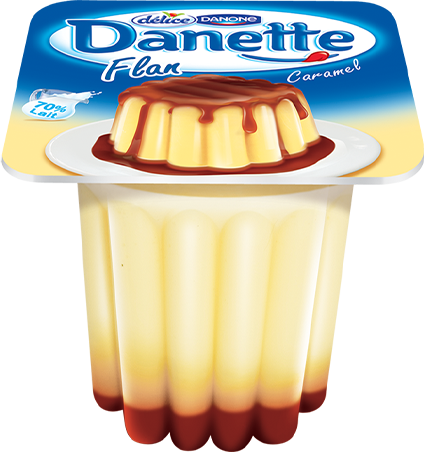 Danette Flan – Delice Holding