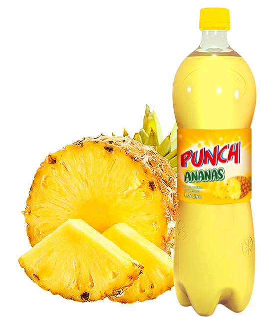 Punch Ananas – Delice Holding