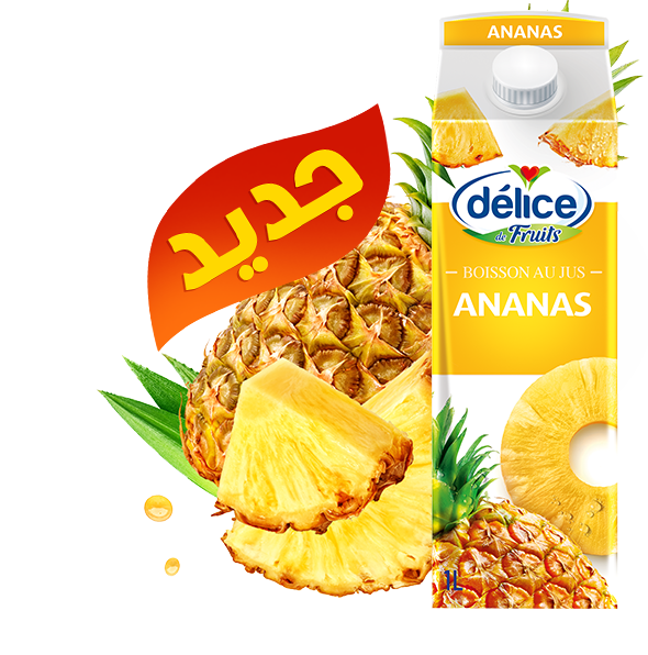 Ananas – Delice Holding