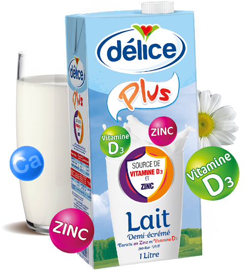 Délice Plus – Delice Holding